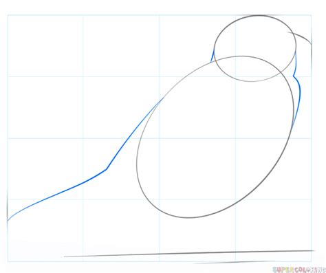 How To Draw A House Sparrow Step By Step Drawing Tutorials