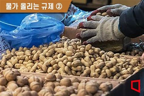 물가 올리는 규제 ②땅콩과자 차라리 중국서 만드는 게 낫겠어요 아시아경제 물가 올리는 규제 ②땅콩과자 차라리 중국서 만드는 게 낫겠어요 아시아경제