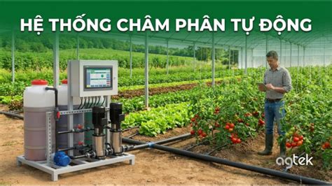 Châm Phân Tự động Fertigation Là Gì Cách Cài đặt Cho Nhà Màng Dưa