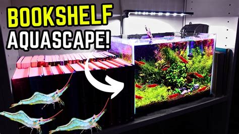 I Made A Bookshelf Aquascape With Pinocchio Shrimp Shrimp Tank