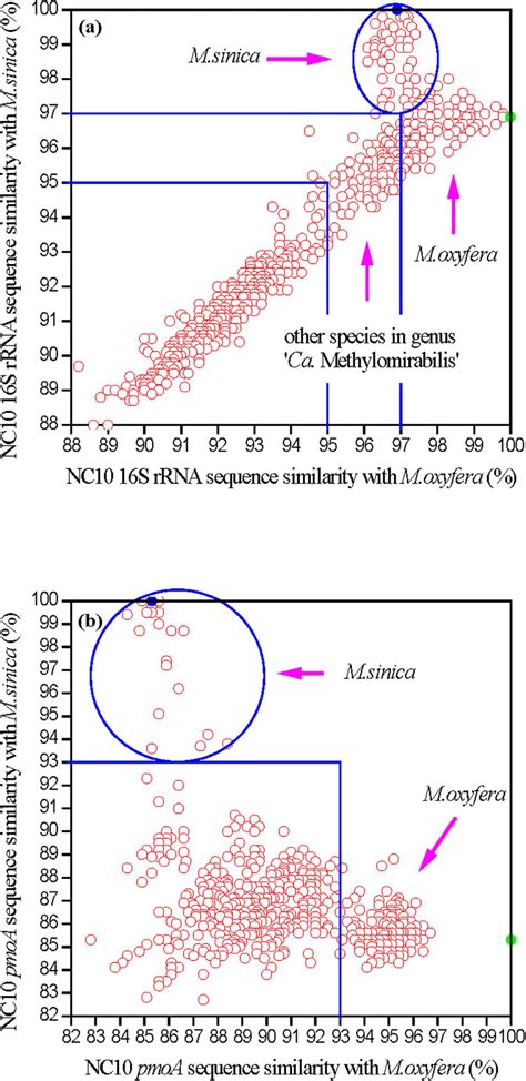 Sequence Similarity Analysis Among The 16s Rrna A And Pmoa B Gene