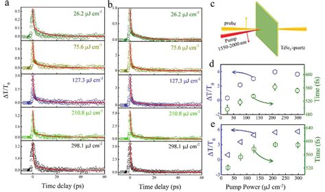 Transient Bleach Dynamics Of Tise 2 Measured Transitivity Transient