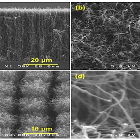 fabrication process for the micro array patterned cnt ma cnt
