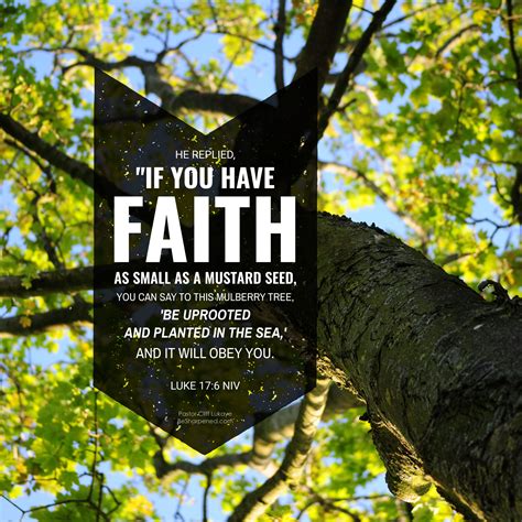Luke 17 6 ~ Daily Devotion September 4 2023 Daily Devotional