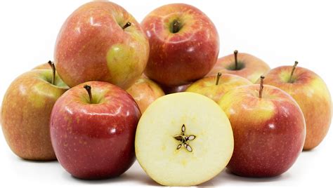 Fuji Apple Alchetron The Free Social Encyclopedia