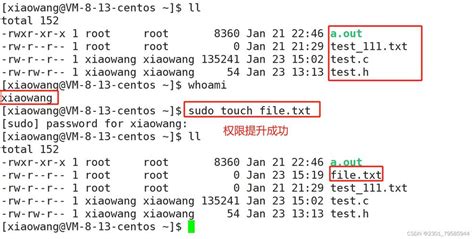 Linux系统中sudo命令的作用与使用指南：提升权限与安全保障 Linux命令大全 手册