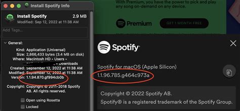 Can I Remove Lyrics Plus R Spicetify