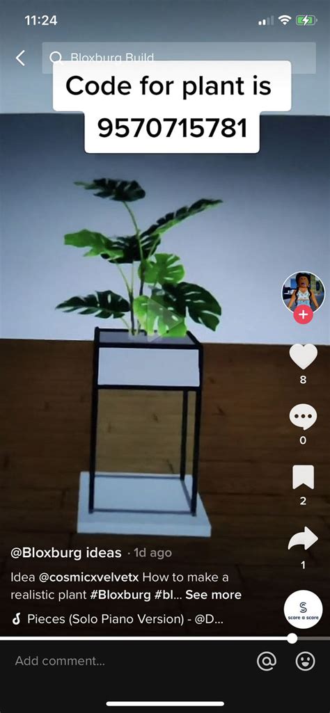 Stylish Plant In Pot Home Decor