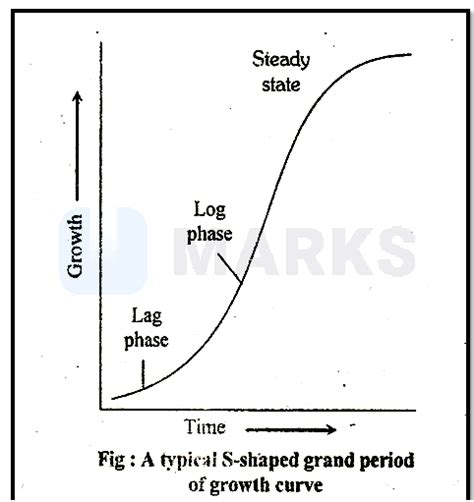 Typical Growth Curve In Plants Is