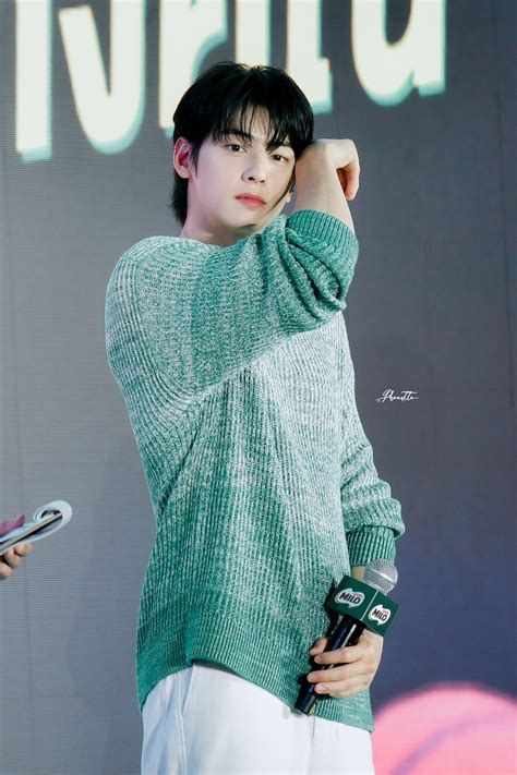 차은우 태국 행사 참석  연예이슈 수다방 네모판