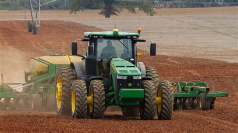 Physoderma Brown Spot Cropwatch Nebraska