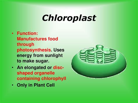 Parts Of A Cell Ppt Download