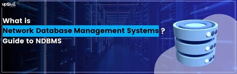 What Is Network Database Management Systems Guide To Ndbms Upskill