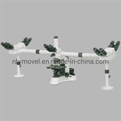 Multi Viewing Microscope Teaching Microscope Microscope And Teaching
