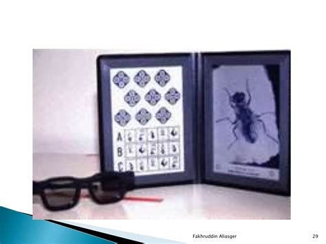 Test For Stereopsis Pptx