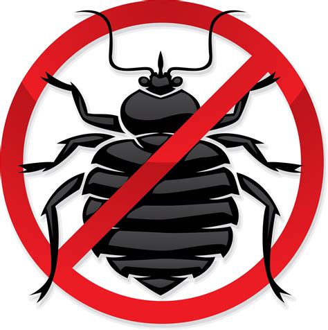 Bed Bug Exterminator Nyc Medium