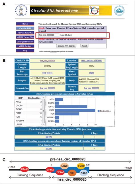Circinteractome A Web Tool For Exploring Circular Rnas And Their Interacting Proteins And