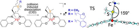 Alkyl Radical Generation By An Intramolecular Homolytic Substitution Reaction Between Ironii