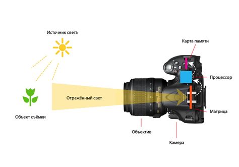 Как устроен цифровой зеркальный фотоаппарат