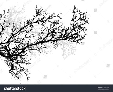 Tree Branch Vector Stock Vector Royalty Free 174069536