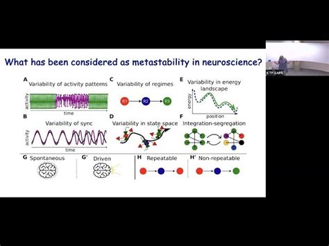 Free Video Critical Transitions In Complex Dynamical Systems Theory And Implications For