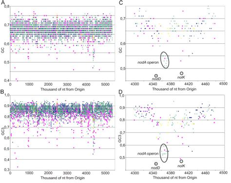 Nucleotide Composition Of The A Caulinodans Genome The Gc And Gc3