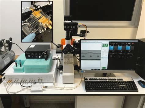 What Is Impedance Flow Cytometry And How Can It Benefit Your Research Health Advise 4u Stay