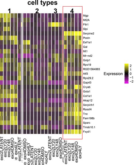 DoHeatmap For Subsets Of Cells Conditions Issue Satijalab Seurat GitHub