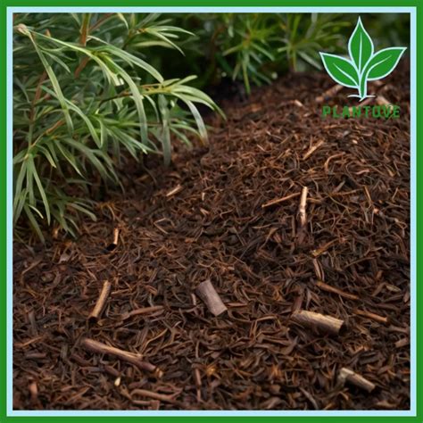 Pine Bark Mulch Benefits Problems And Best Uses
