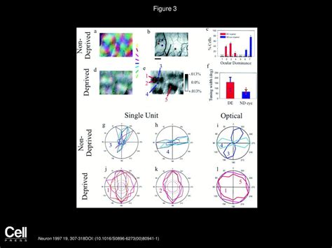 Volume Issue Pages August Ppt Download