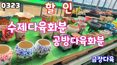 24년03월23일금장다육맘 신상다육공방화분 수제화분 세트할인 Youtube
