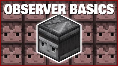 Observer
