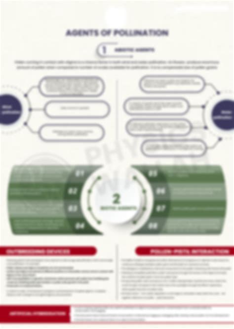 SOLUTION Sexual Reproduction In Flowering Plants Mind Maps Studypool