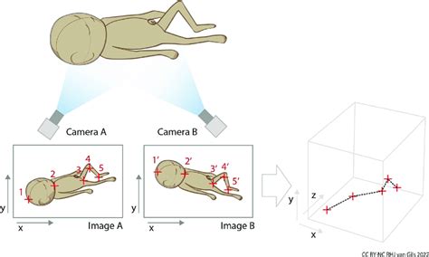 Schematic Representation Of The Stereoscopic Vision System To Measure
