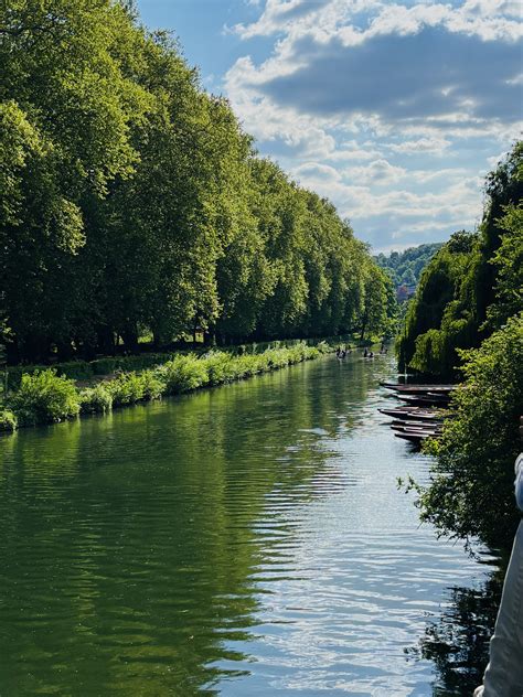 Германия Отляво на реката е гората с чинари Следващият път си обещах да й отделя достатъчно