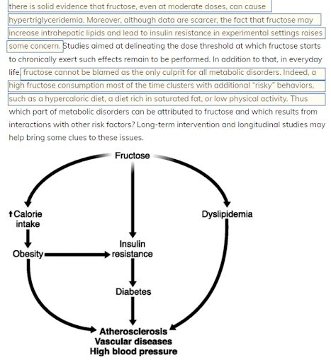 Fructose Concerns Nutrition With Judy Holistic Welllness
