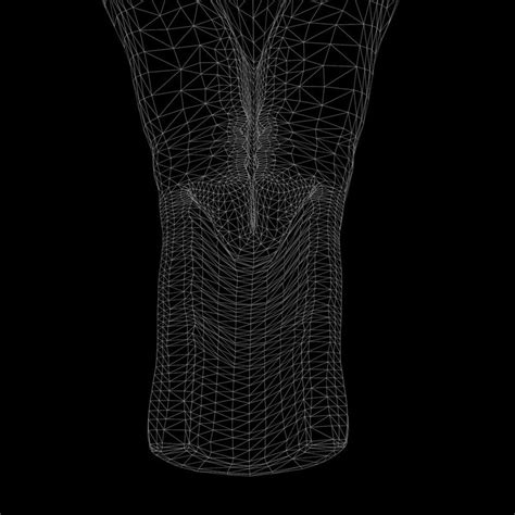 Female Reproductive System 3d Model C4d Stl Obj 3ds Fbx Tbscene Blend