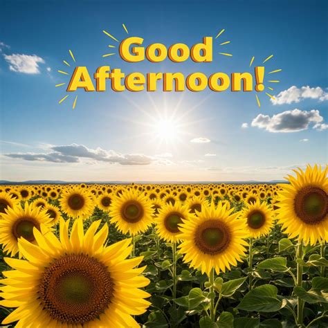 Good Afternoon Images Beautiful And Stylish Greetings For Everyone With