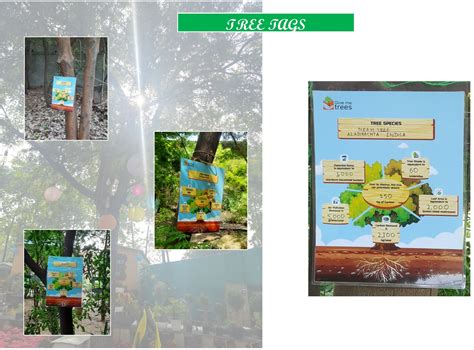 Give Me Trees Tree Planting Organizations Tree Planting Charity Plant A Tree