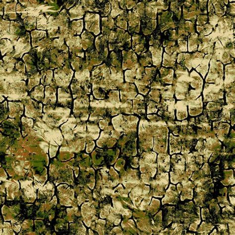 Premium Photo Tree Bark Pattern Seamless