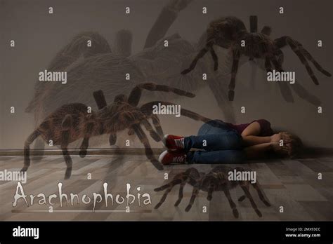 Arachnophobia Movie Spider