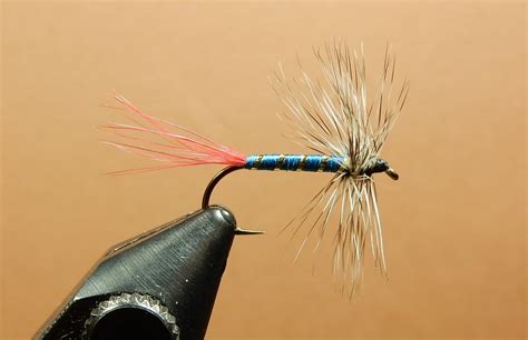 Flytying New And Old Soft Hackles