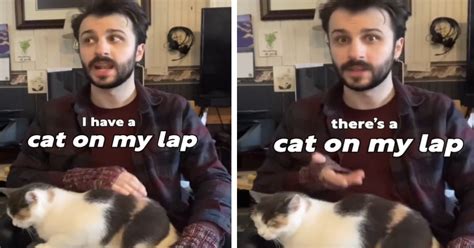 Man Writes Song About Getting Trapped With A Cat On My Lap Greatergood
