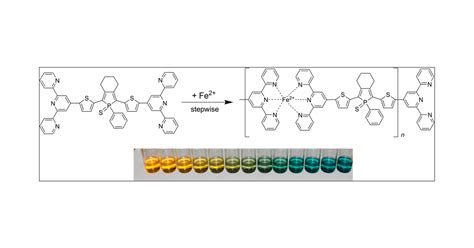 Conjugated Metallo Supramolecular Polymers Containing A Phosphole Unit Organometallics