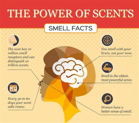 The Power Of Scents Psychology Senses Scents