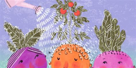 Our Vegetable Garden