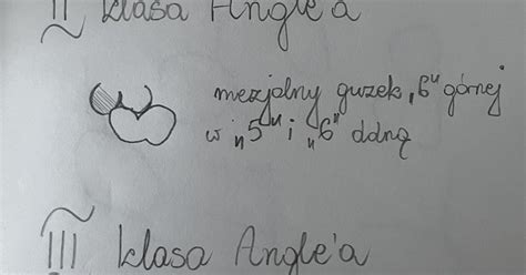 Higienistka Stomatologiczna Klasy Anglea