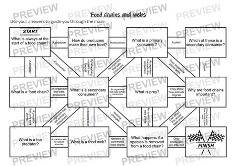 Food Chains And Webs Maze Worksheet Ks2ks3 Science Revision Activity