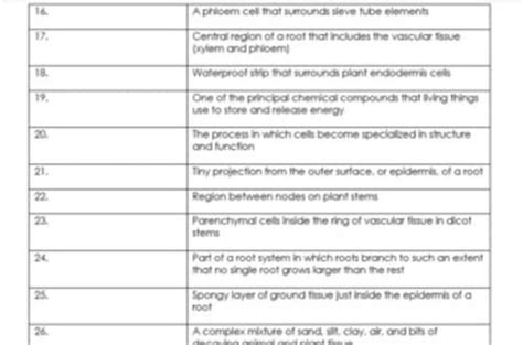 Roots Stems And Leaves Of Plants Worksheet Botany Biology Horticulture Landscaping